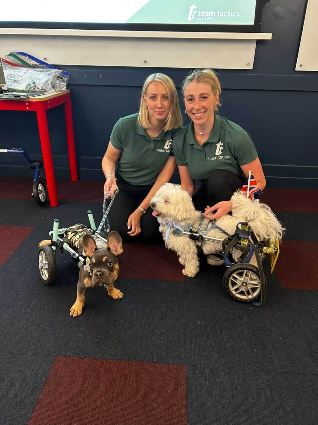 Wheels for Walkies | Charity Team Building | Team Tactics