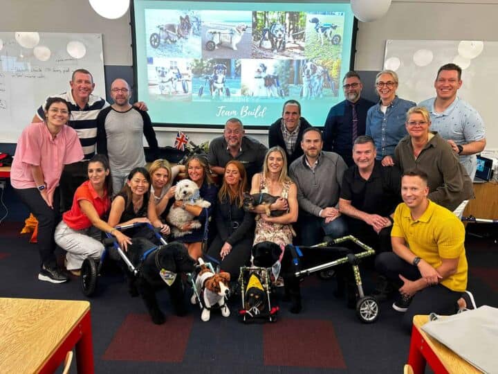 10 Team Building Activities for Small Groups | Team Tactics