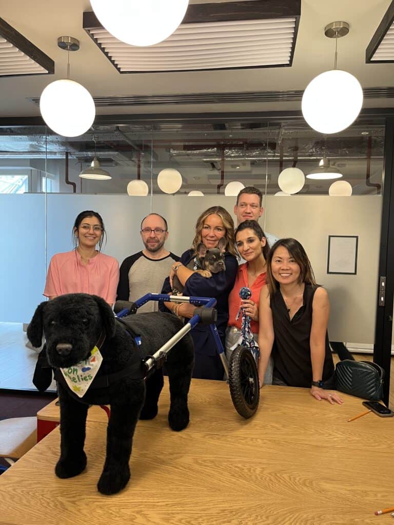 Wheels for Walkies | Charity Team Building | Team Tactics